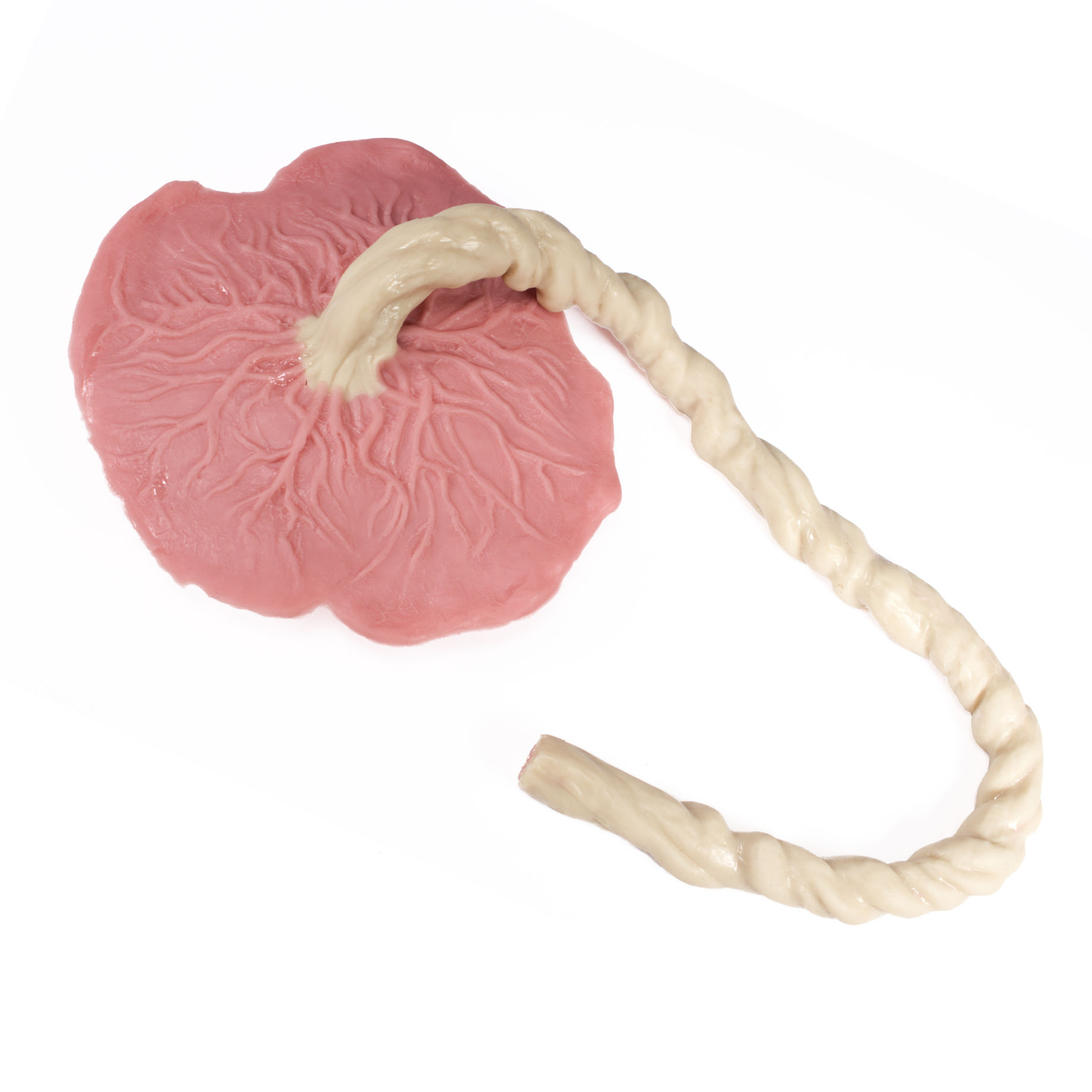 Obstetrica – Ginegologie – Marota Medical